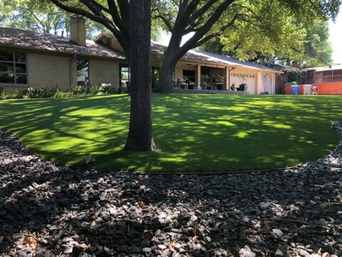 10 Artificial Grass Front Yard Ideas [2024] With Examples - Artificial ...