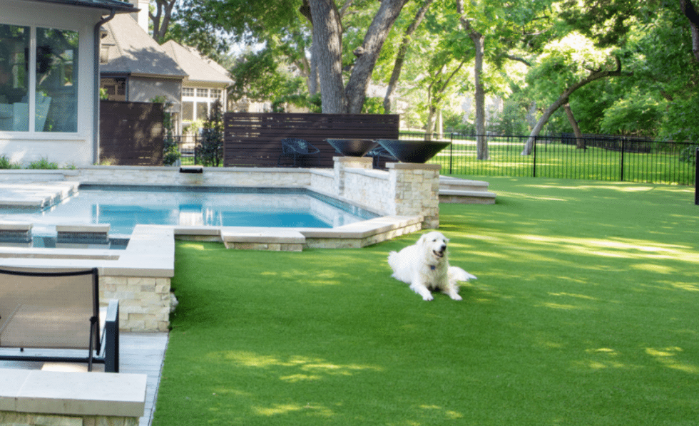 What is the Difference Between Turf and Artificial Grass?
