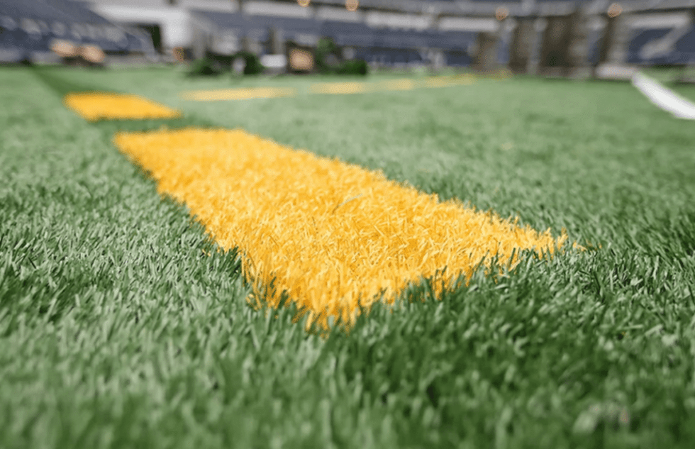 What is the Difference Between Turf and Artificial Grass?