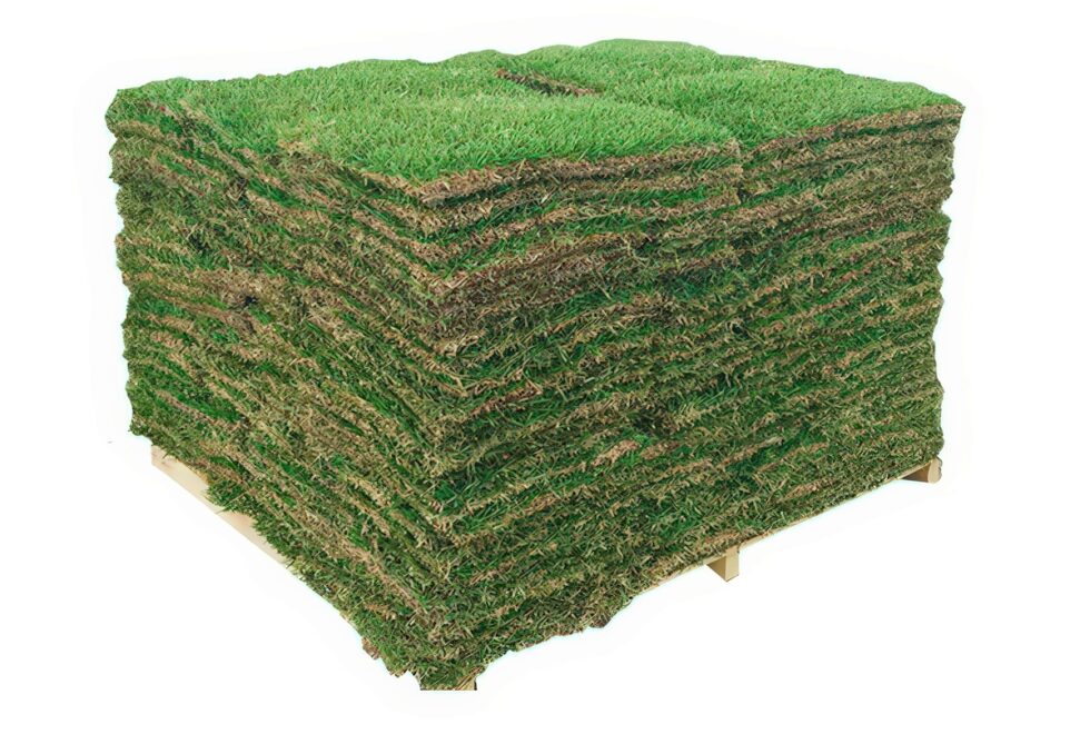 How Much is a Pallet of Grass in Texas?