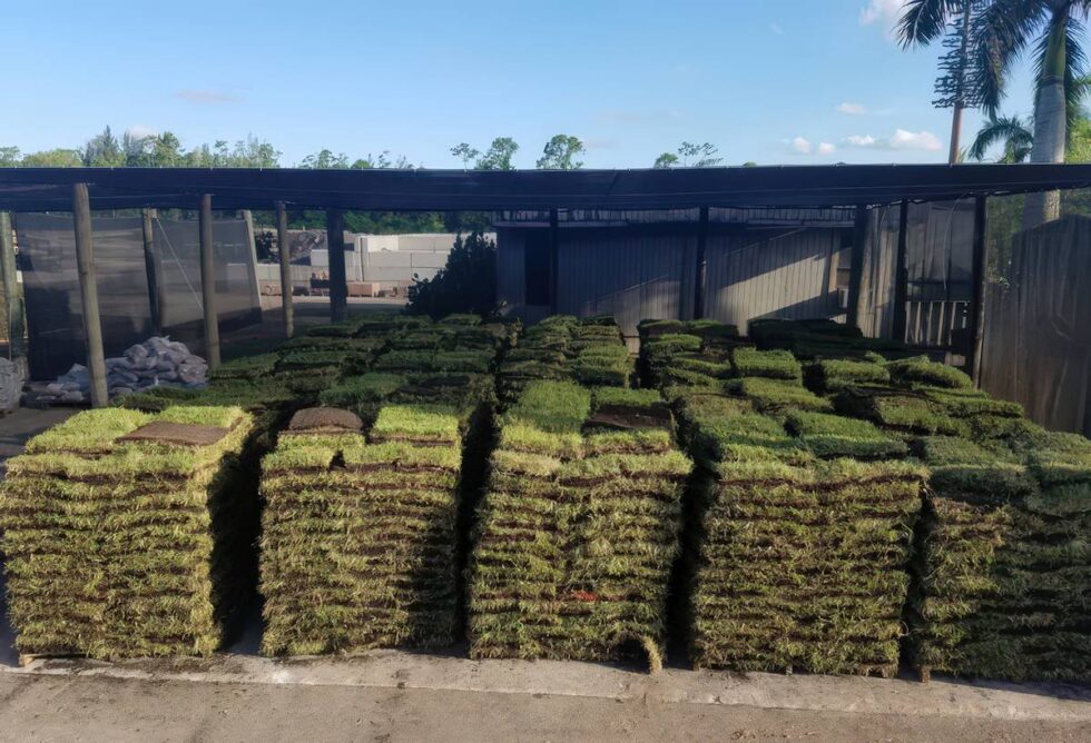 How Much is a Pallet of Grass in Texas?